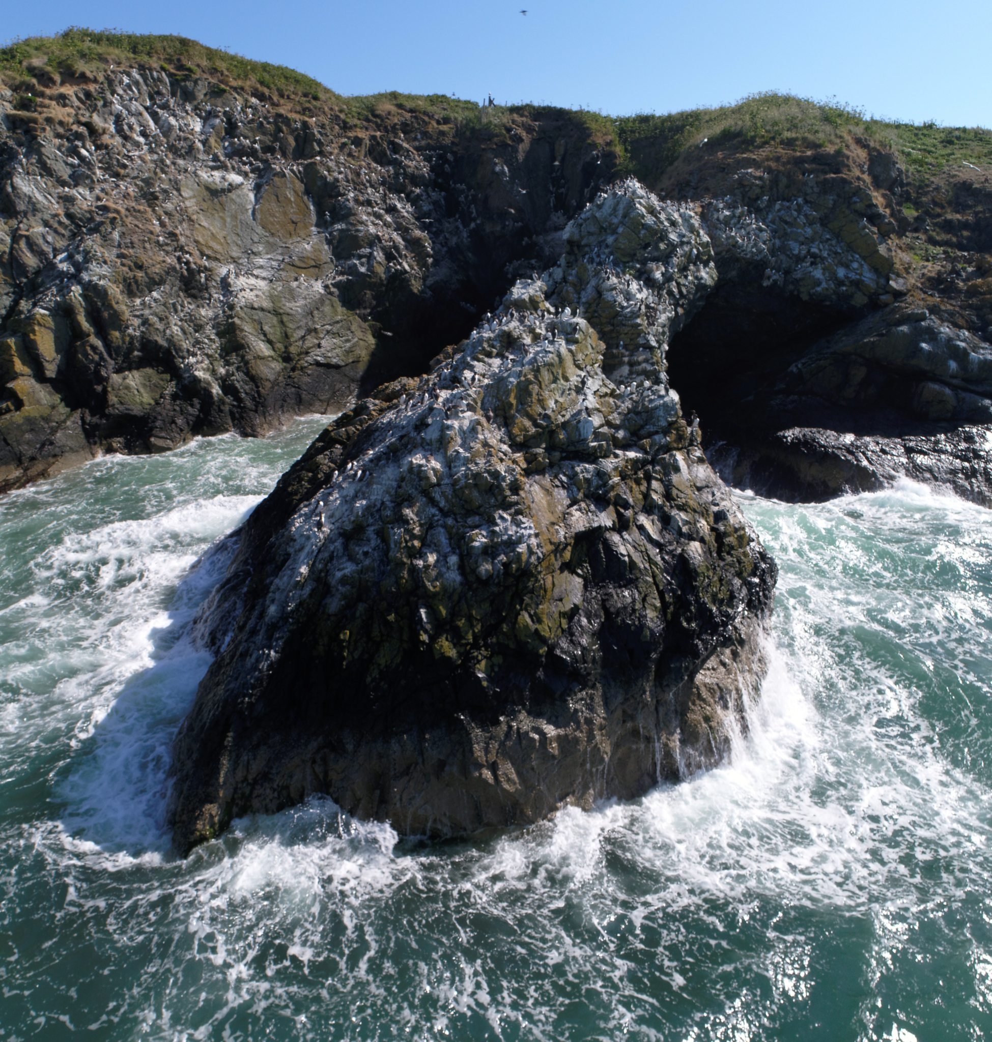 Is Lambay Whiskey Opening The Greenest Distillery Ever? - CHAR Magazine